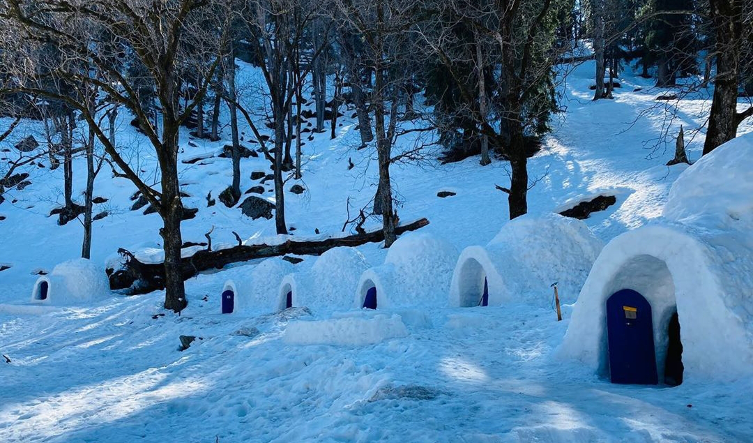 IGLOO STAY IN MANALI | Reach Manali. Drive to Igloo camp Drop to Manali ...